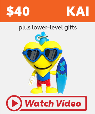 Guide to get started - Kids Heart Challenge - American Heart Association