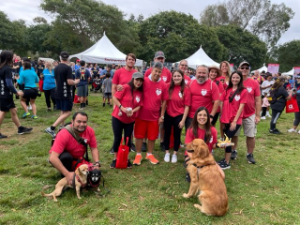 2023 San Diego Heart & Stroke Walk: HME Team - Heart Walk - American ...